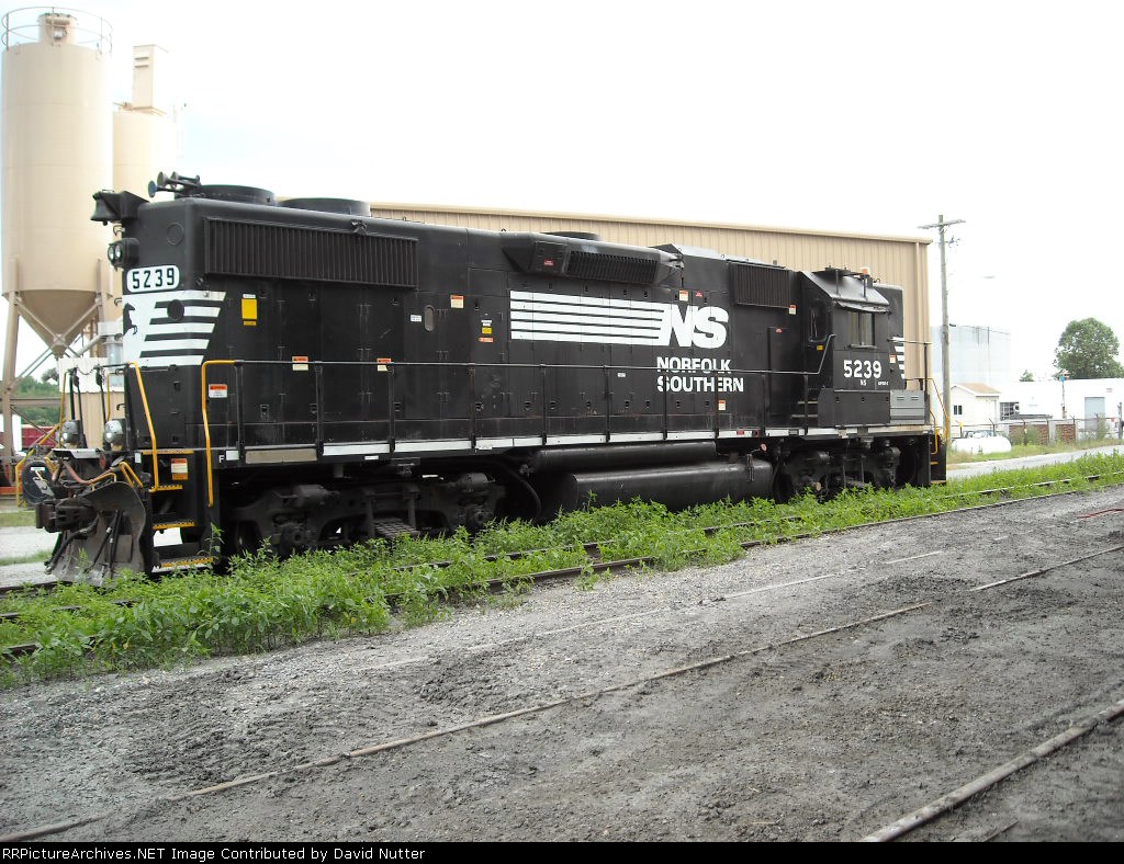 NS 5239